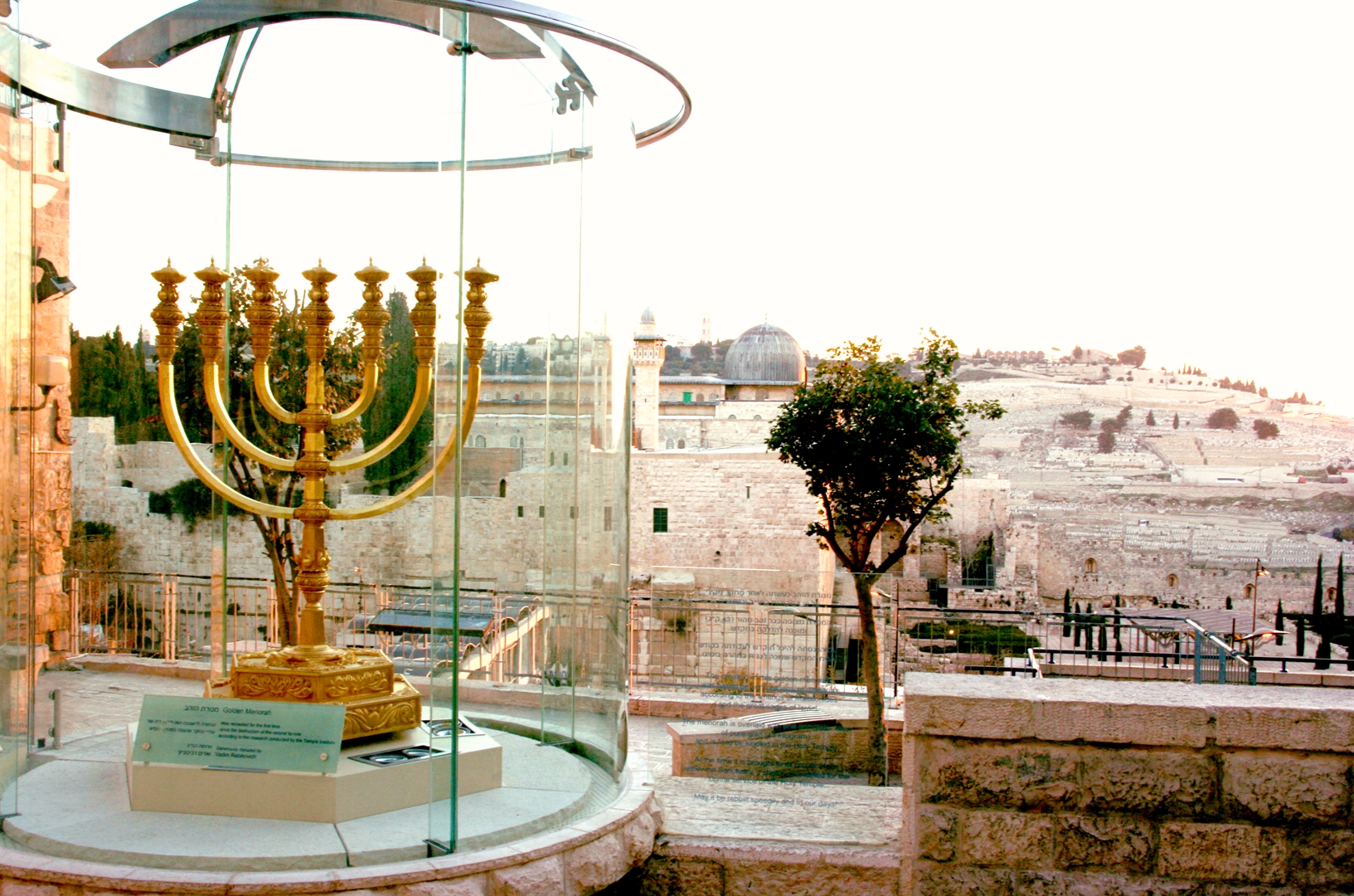 Parasha Behaalotecha: Raising the Menorah, the Light of Purity ...