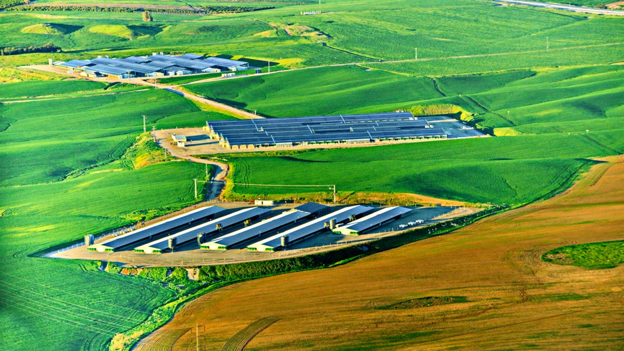 Africa’s Largest Solar Field Built With and Modeled After Israeli ...