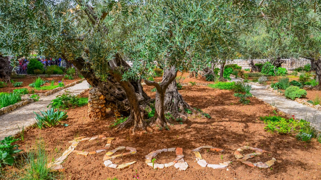 Why Is Jerusalem So Important Today? | Messianic Bible